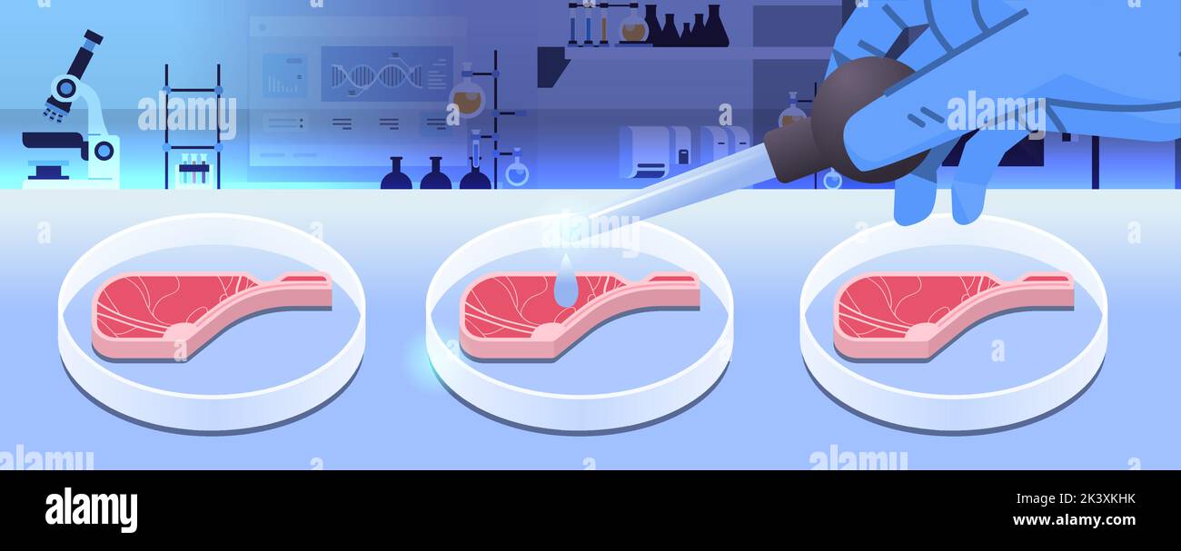 scientist adding drop of liquid from flask in petri dish with beef ...