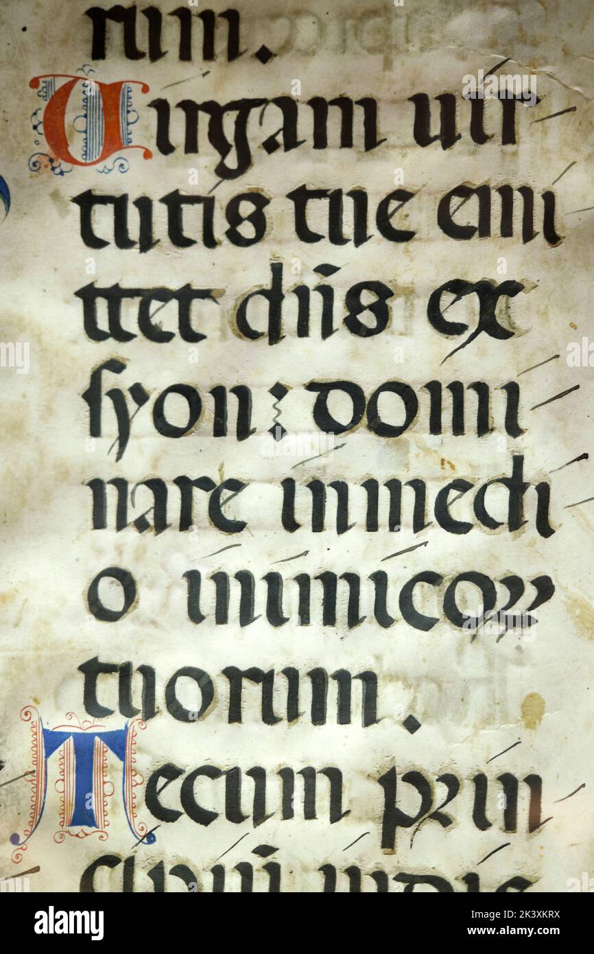 Historic Illuminated manuscript in the library of the Museum of San ...