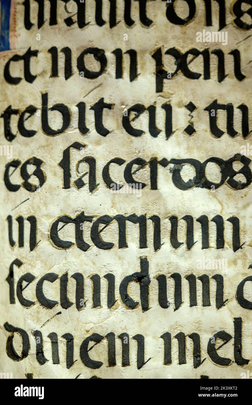 Historic Illuminated manuscript in the library of the Museum of San ...