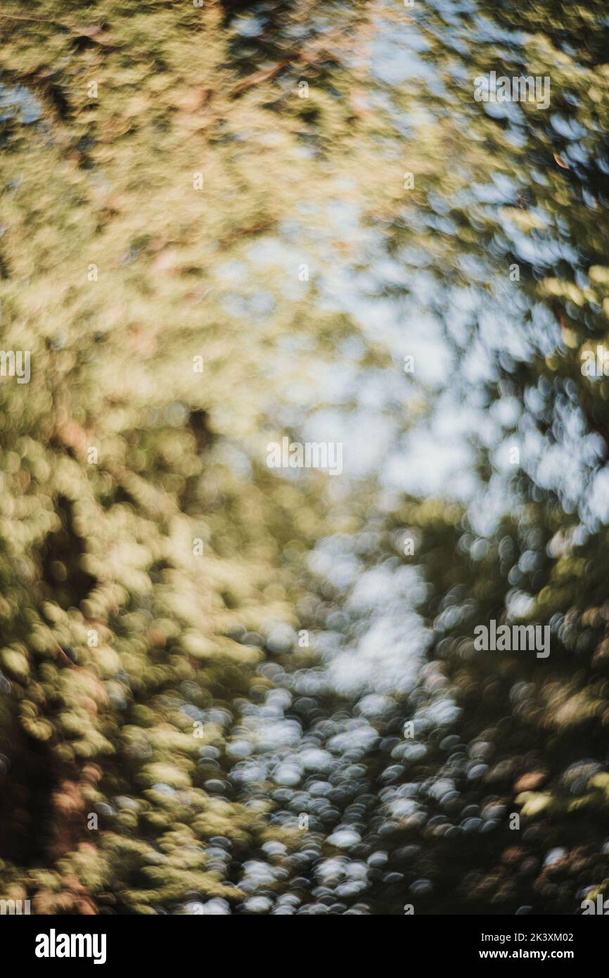 Conservation focus hi-res stock photography and images - Alamy
