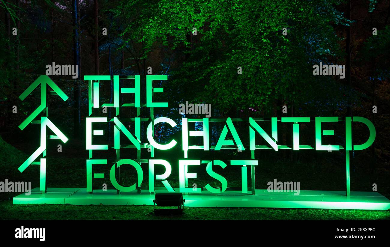 Enchanted forest faskally hi-res stock photography and images - Alamy