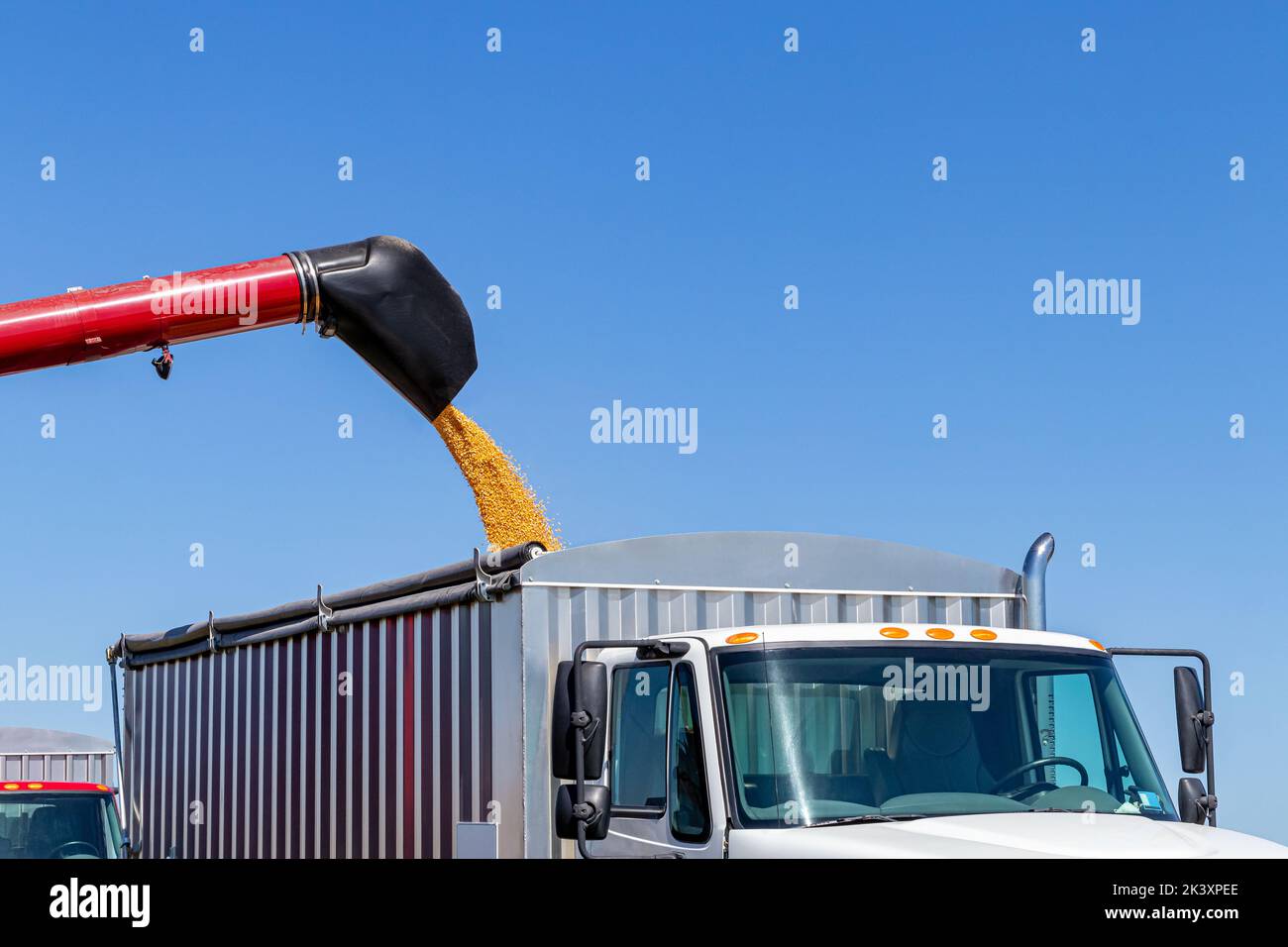 Combine harvester loading corn kernels into grain truck during harvest ... Combine harvester loading corn kernels into grain truck during harvest ...