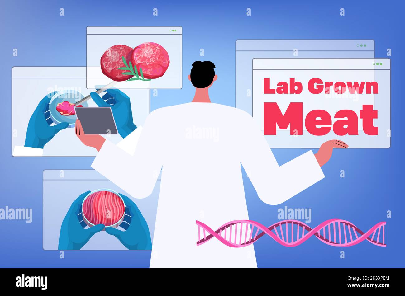 scientist opening web browser windows with cultured red raw meat made ...