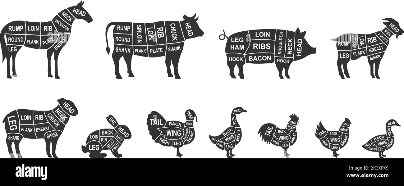 Set of farm animals scheme cuts. Pig, Horse, Turkey, Goat, Sheep ...