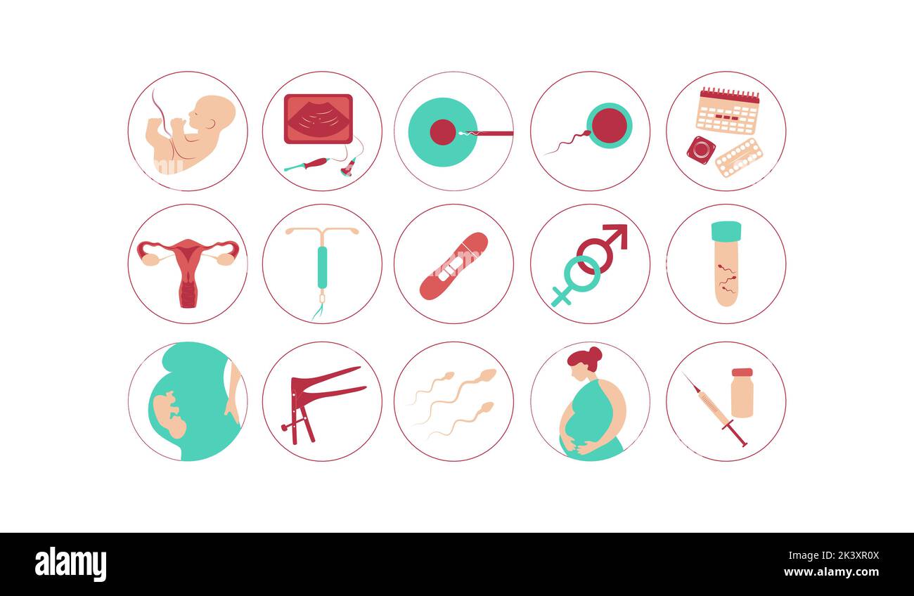 Pregnancy Insemination Contraception Concept Woman Fertility Icon Set