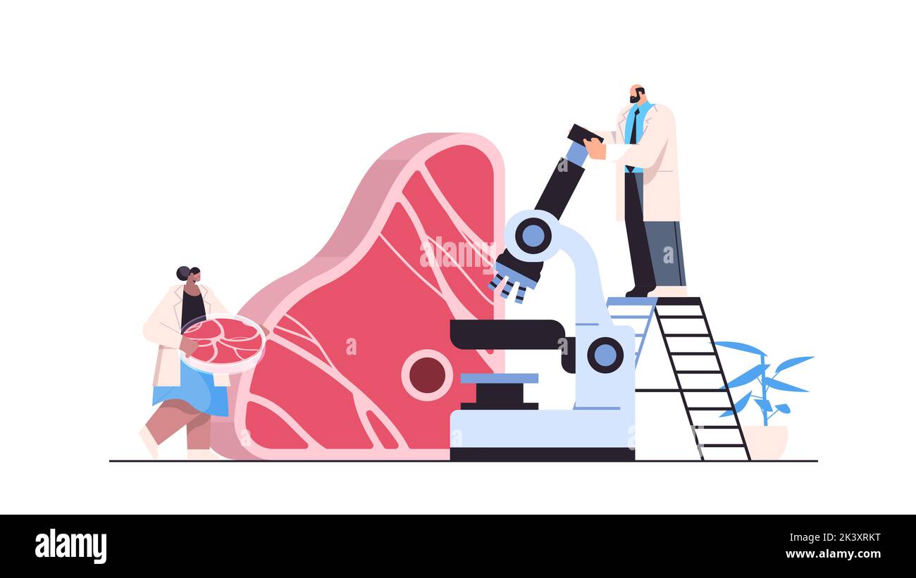 scientists analyzing cultured red raw meat made from animal cells ...