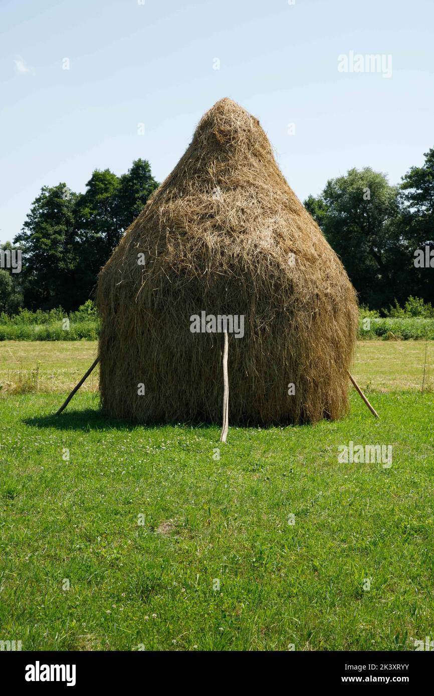 A vertical shot of a haystack on a meadow in central Ukraine Stock ...
