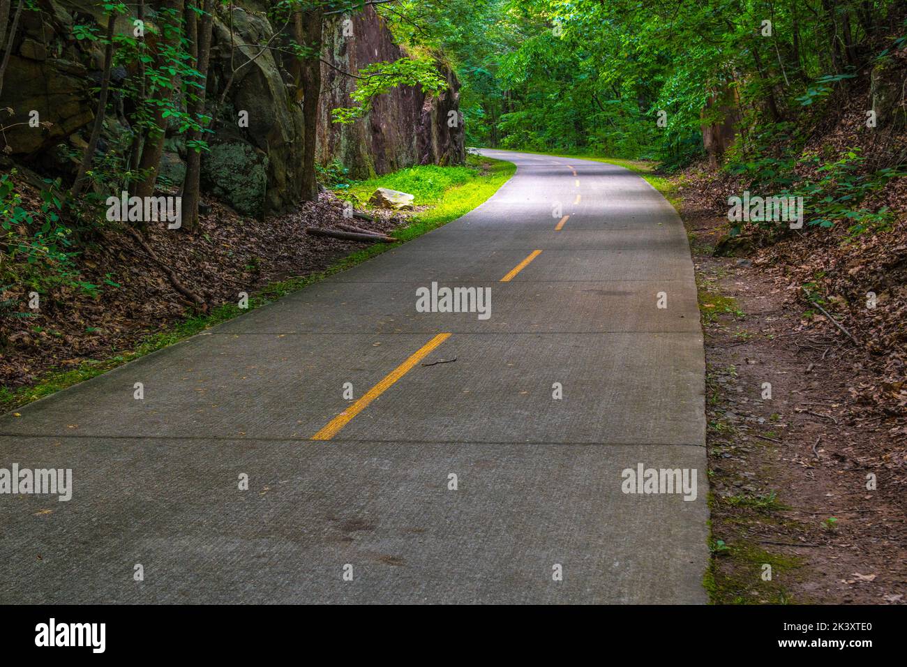 Silver Comet Trail 65 mile paved path Georgia USA winding path yellow ...