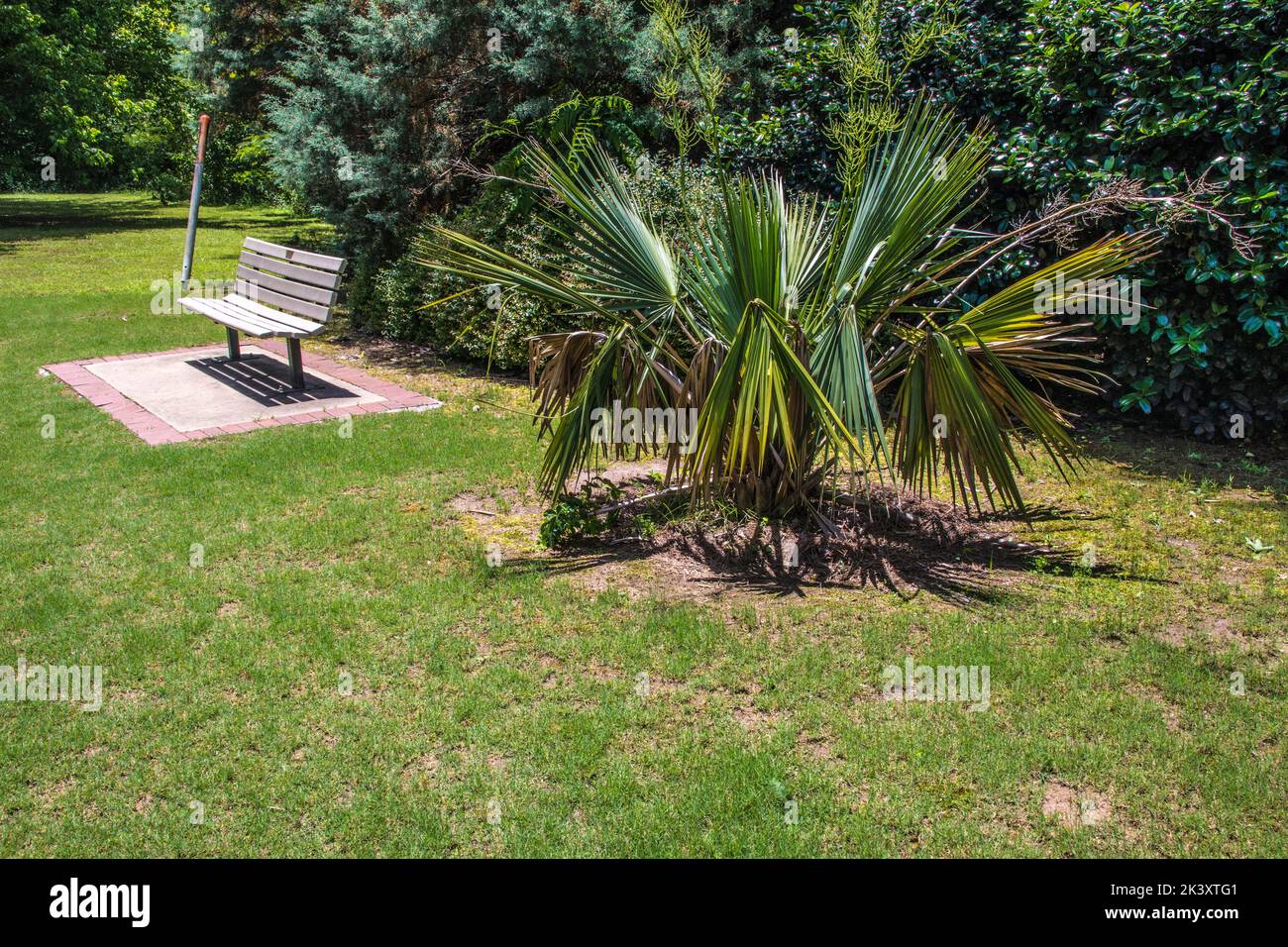 Silver Comet Trail 65 mile paved path Georgia USA park bench and ...