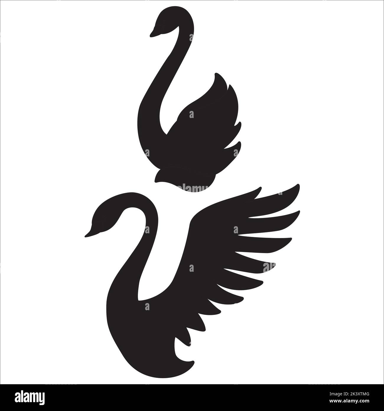 Vector Set Of Swan Silhouettes Illustration Isolated On White ...