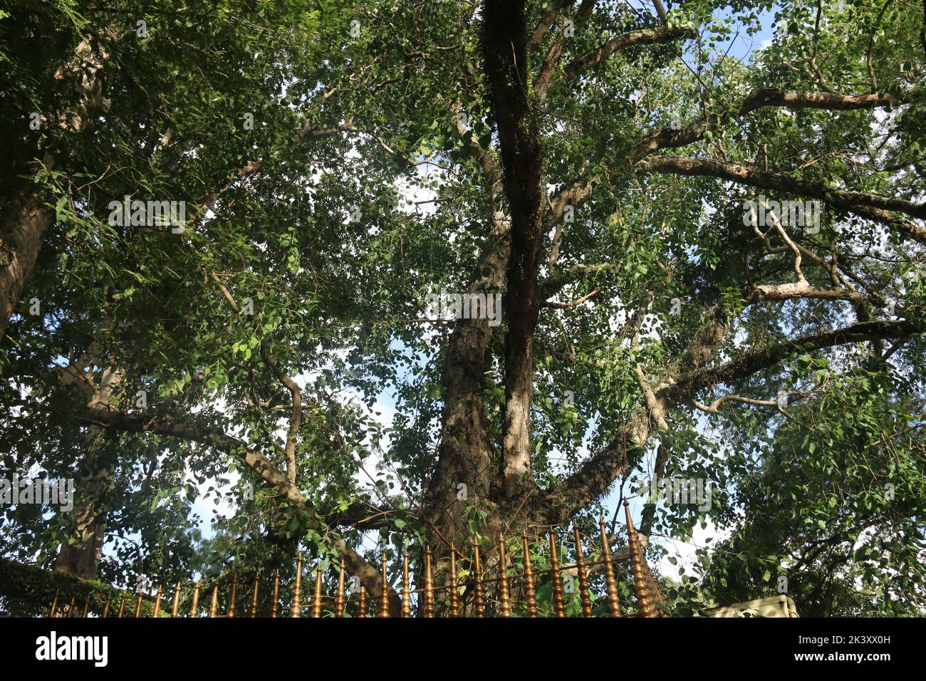 Aluthepola Ganekanda Raja Maha Vihara is an old Buddhist temple in ...