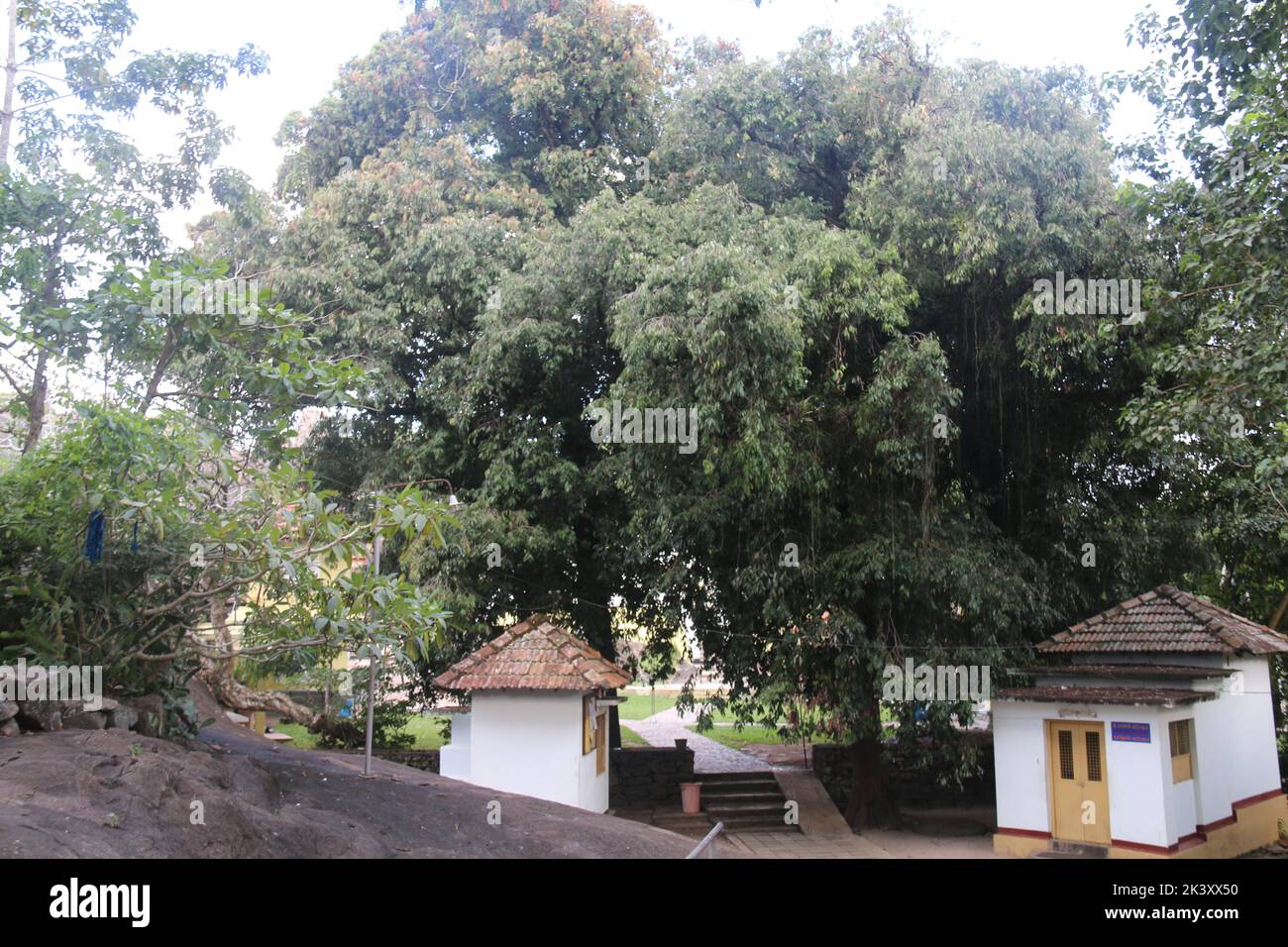Aluthepola Ganekanda Raja Maha Vihara is an old Buddhist temple in ...