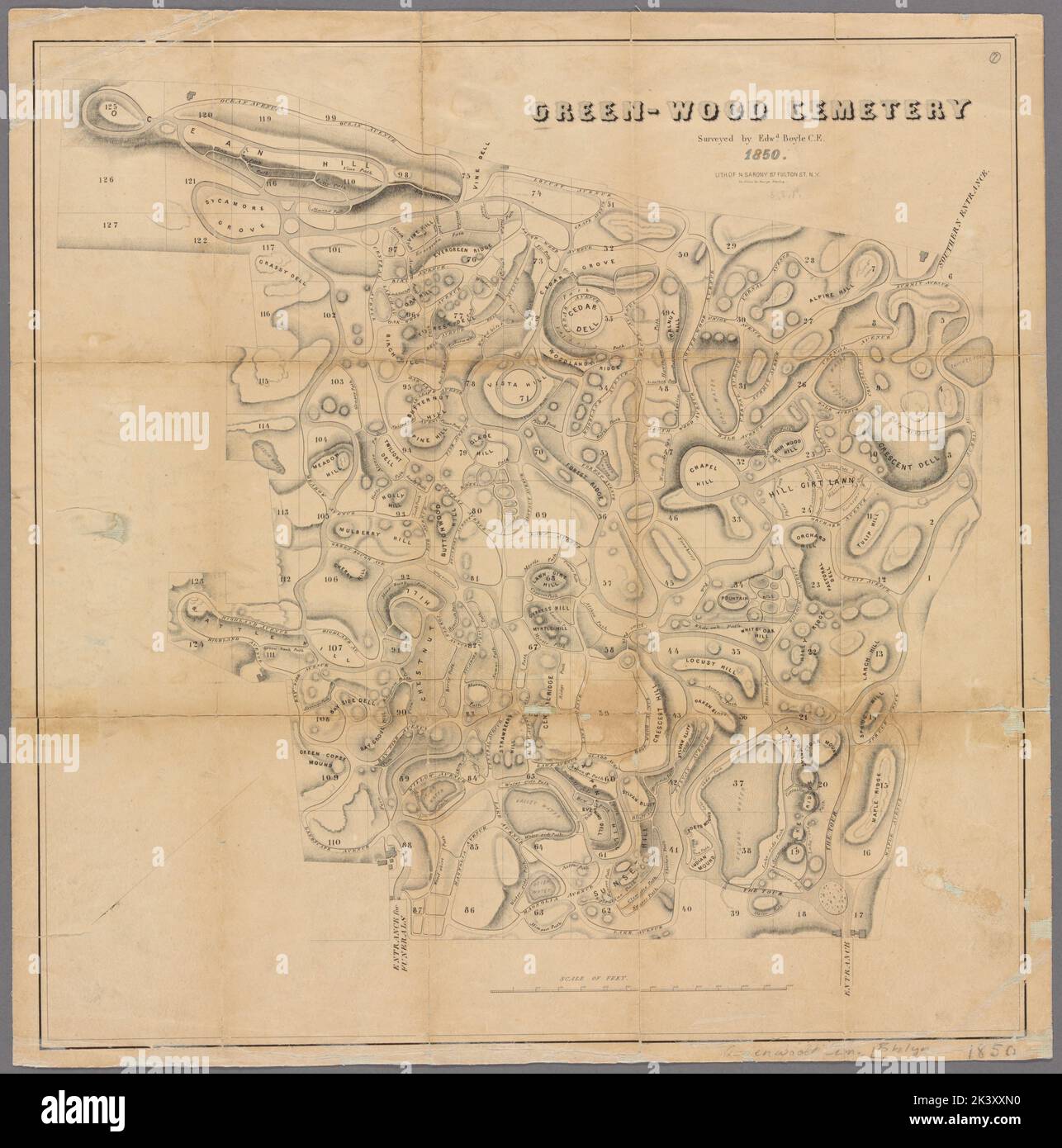 Green-wood cemetery Cartographic. Maps. 1850. Lionel Pincus and ...