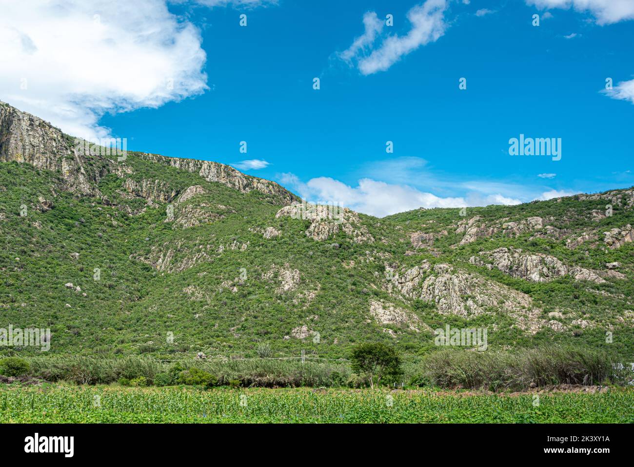 Scenic view of the Yagul Natural Monument of Oaxaca, Mexico Stock Photo ...