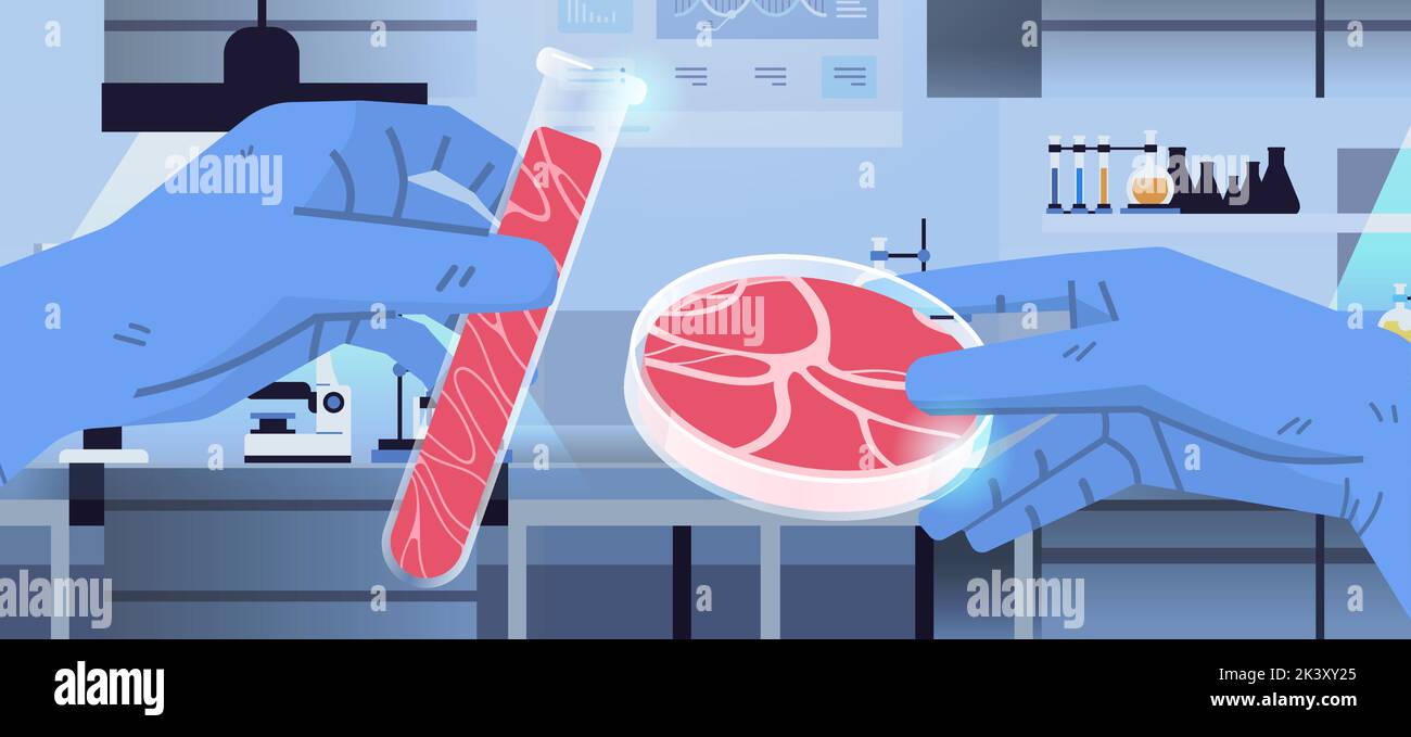 scientist hands holding test tubes with cultured red raw meat made from ...
