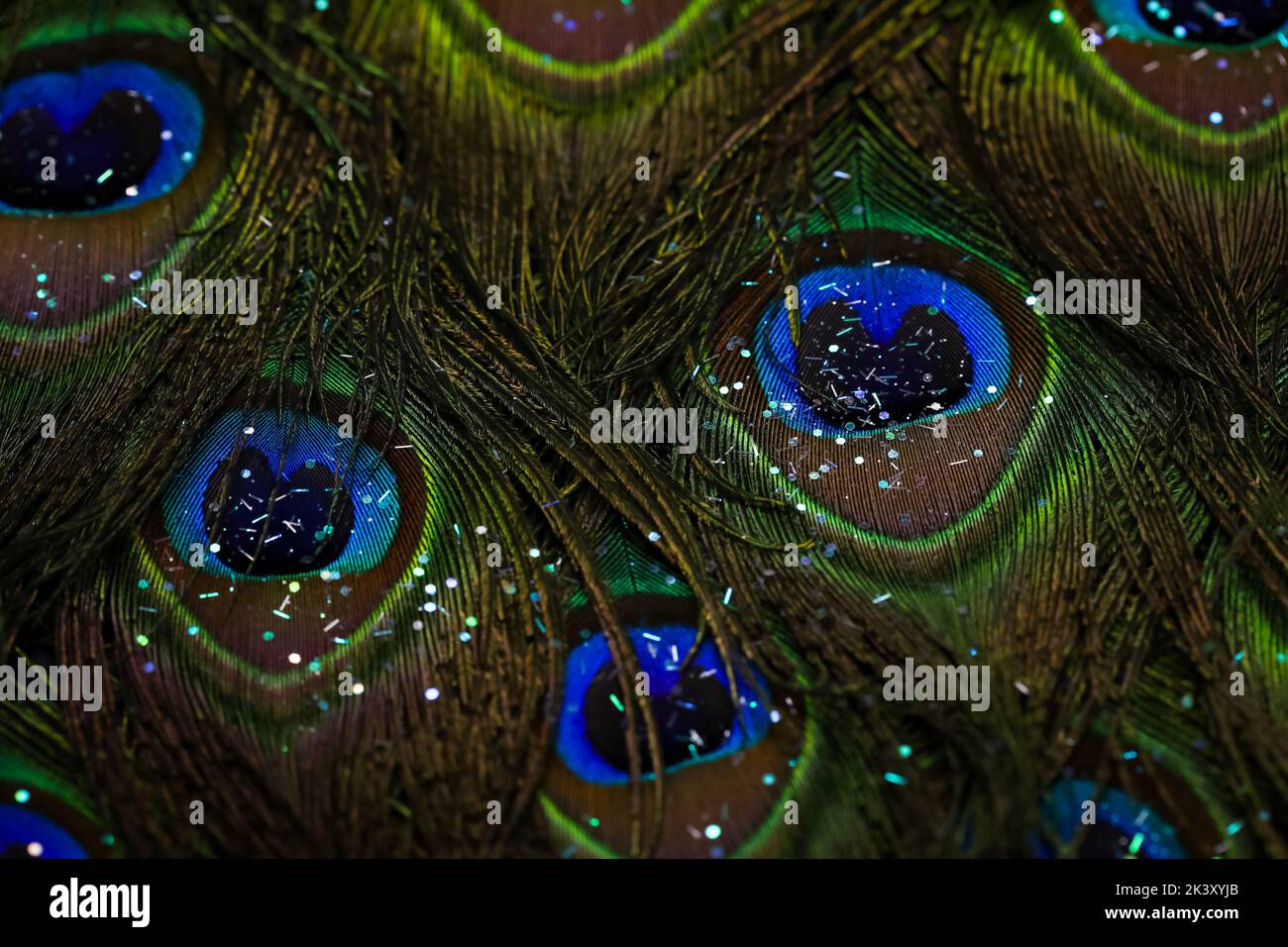 Beautiful and colorful peacock bird feathers seamless abstract pattern ...
