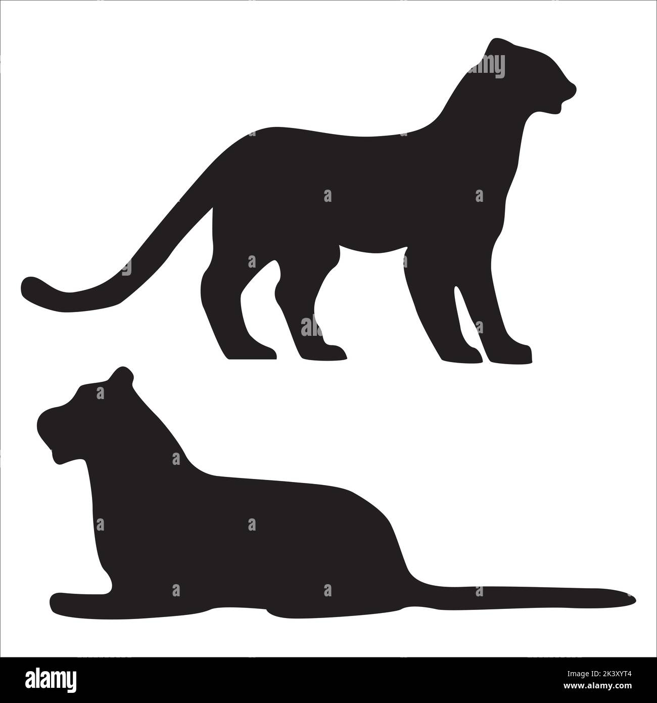 Vector Set Of Tigers Silhouettes Illustration Isolated On White ...