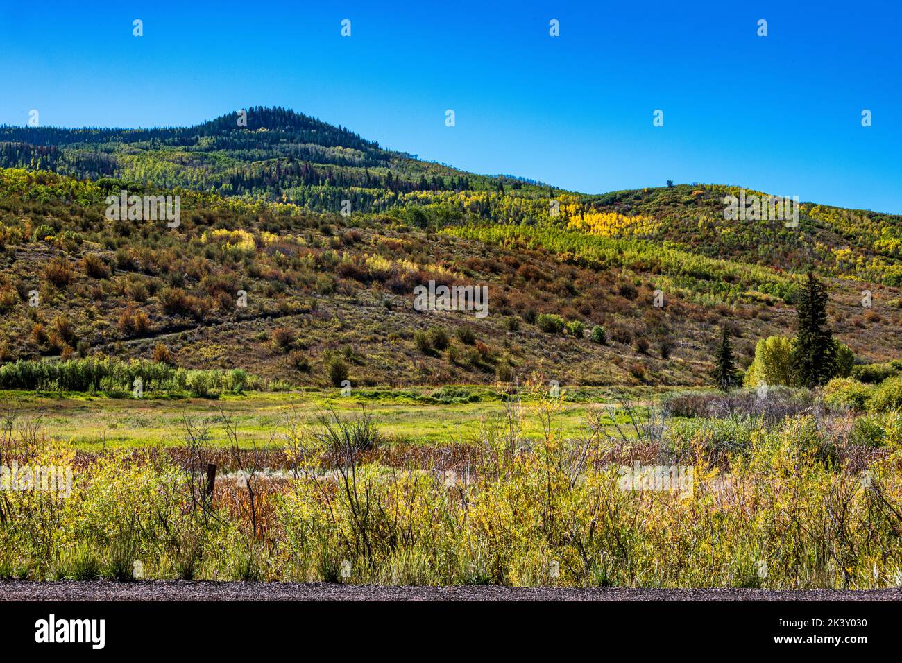 Colorado fall colors with yellow aspens outside Oakcreek Stock Photo ...