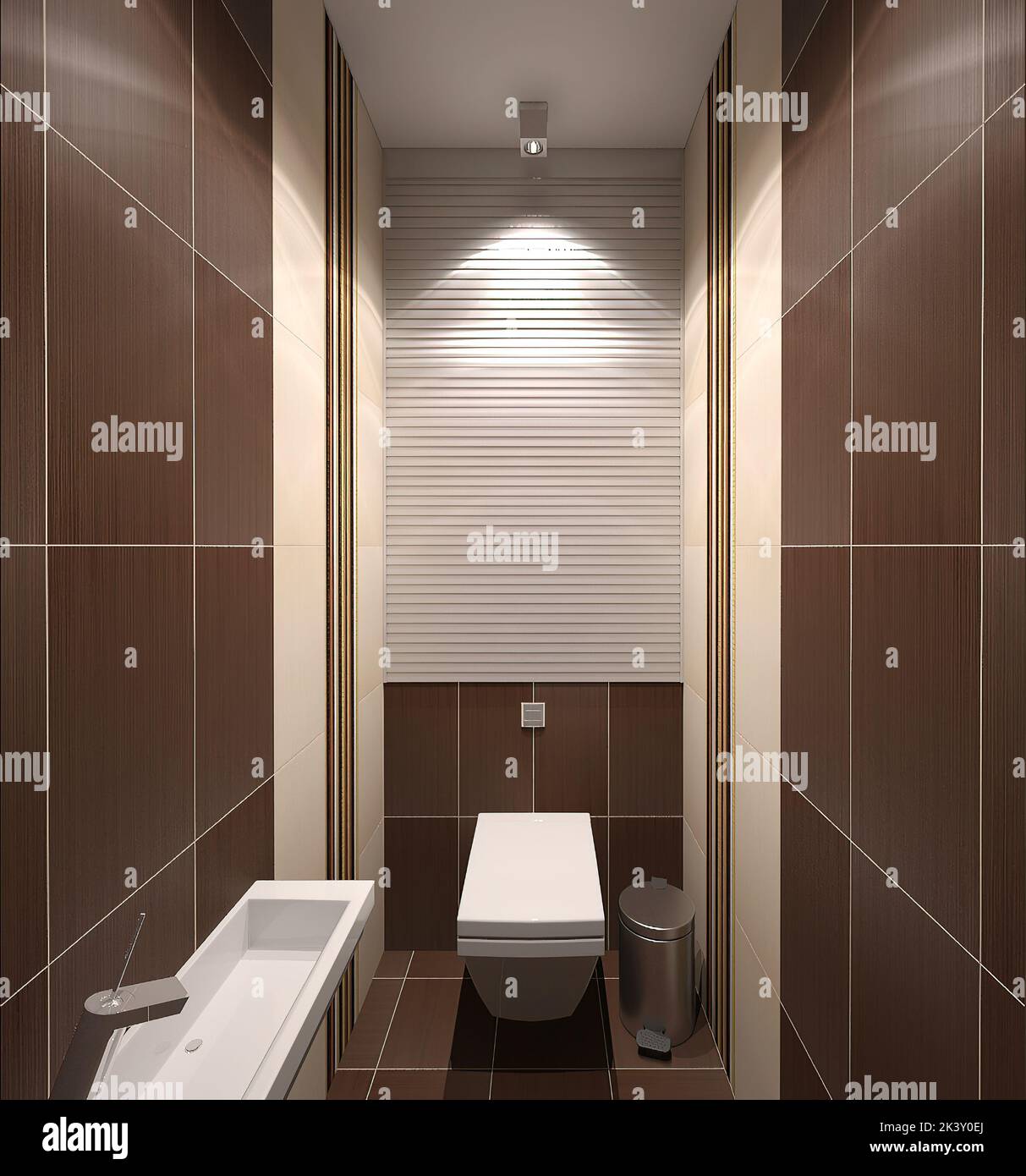 Toilet design concept illustration for a private home. 3D rendering of ...