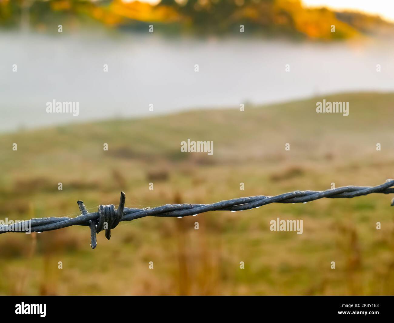 Misty morning scene dew on barbed wire fence wire against blurry rural ...