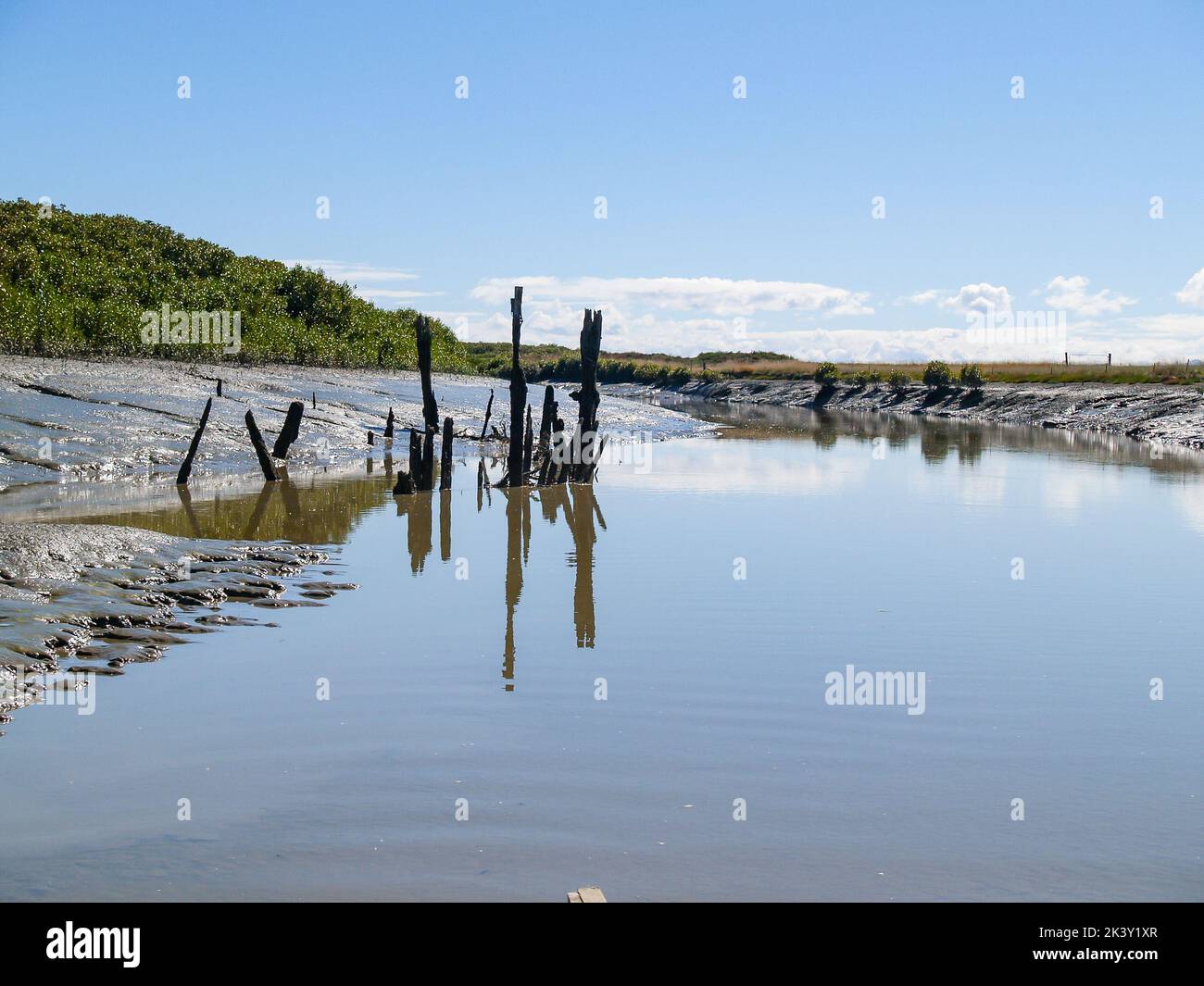 River through plains to coast low water level past mangroves and old ...