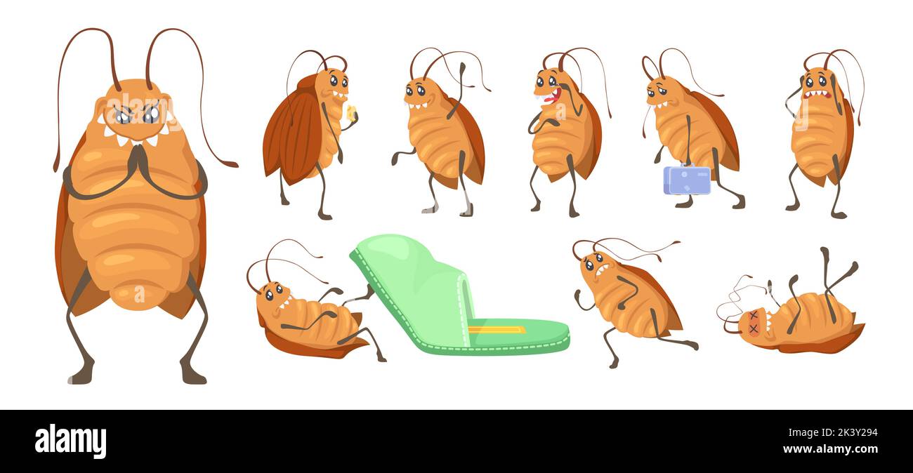 Cute cockroach vector cartoon character set. Funny pest with different ...