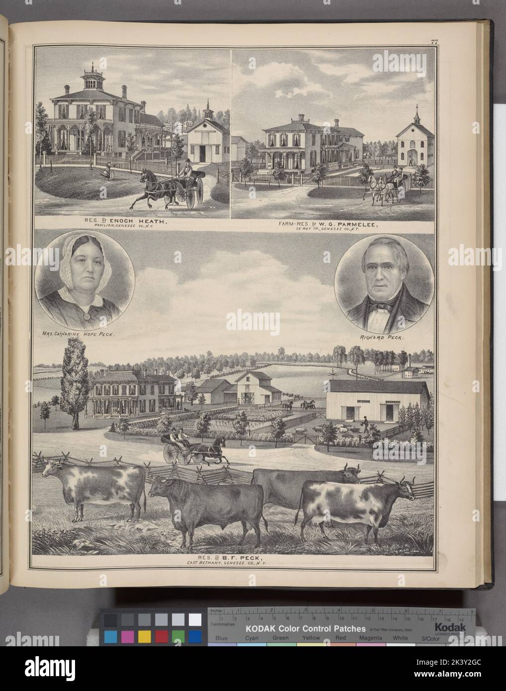 Bethany peck hi-res stock photography and images - Alamy