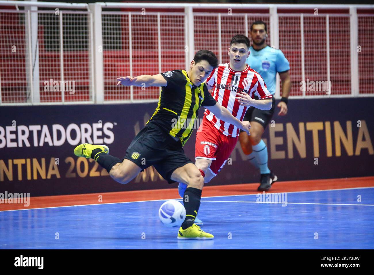 Ignacio salgues hi-res stock photography and images - Alamy