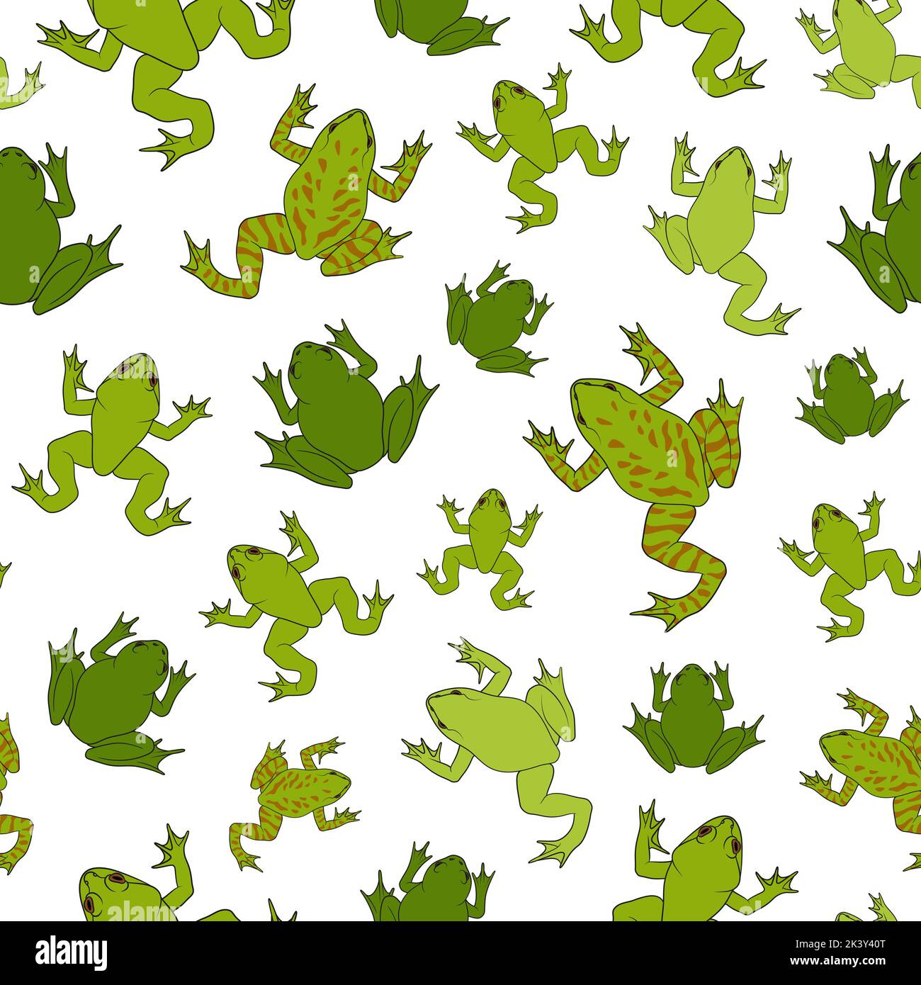 Seamless pattern with green river frogs. Colored vector background on ...