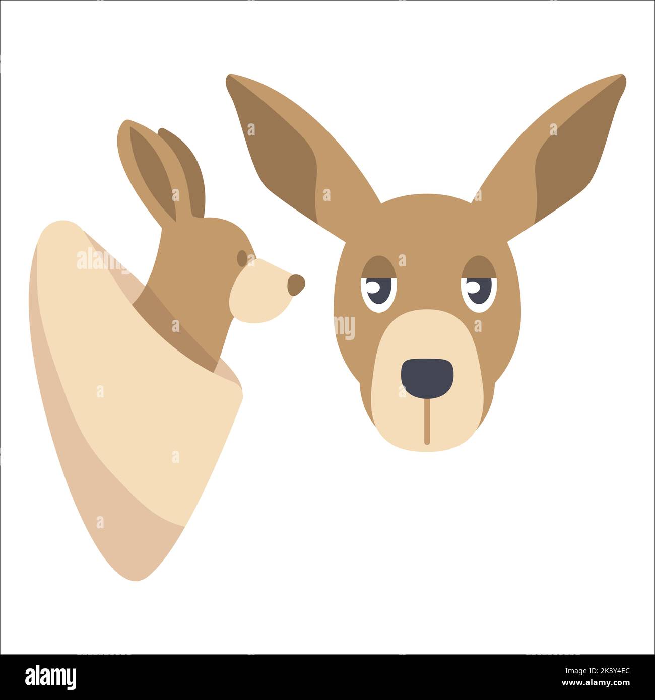 Vector Set Of Kangaroo Illustration Isolated On White Background Stock Vector Image & Art - Alamy
