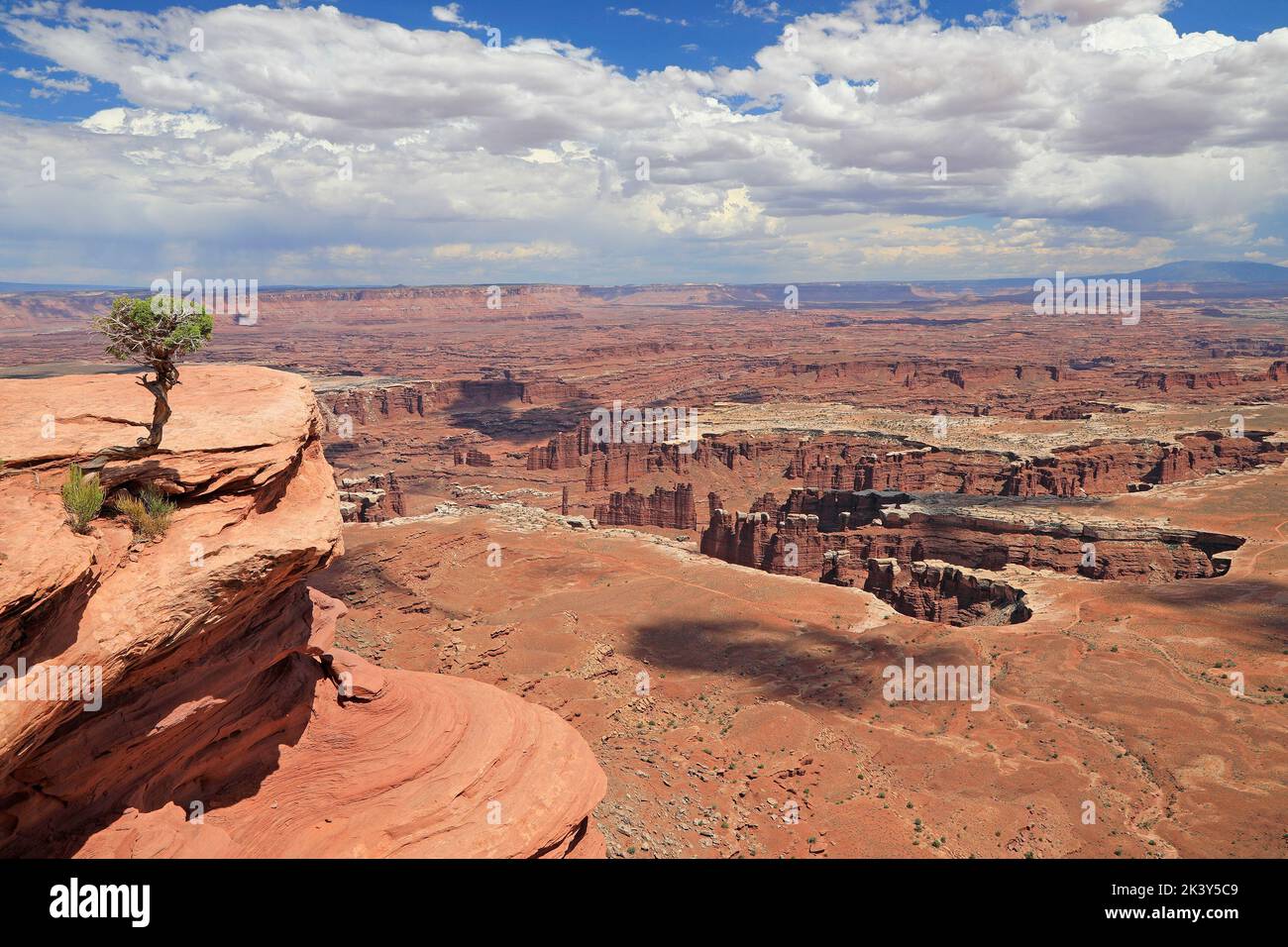Tree park with nature hi-res stock photography and images - Alamy