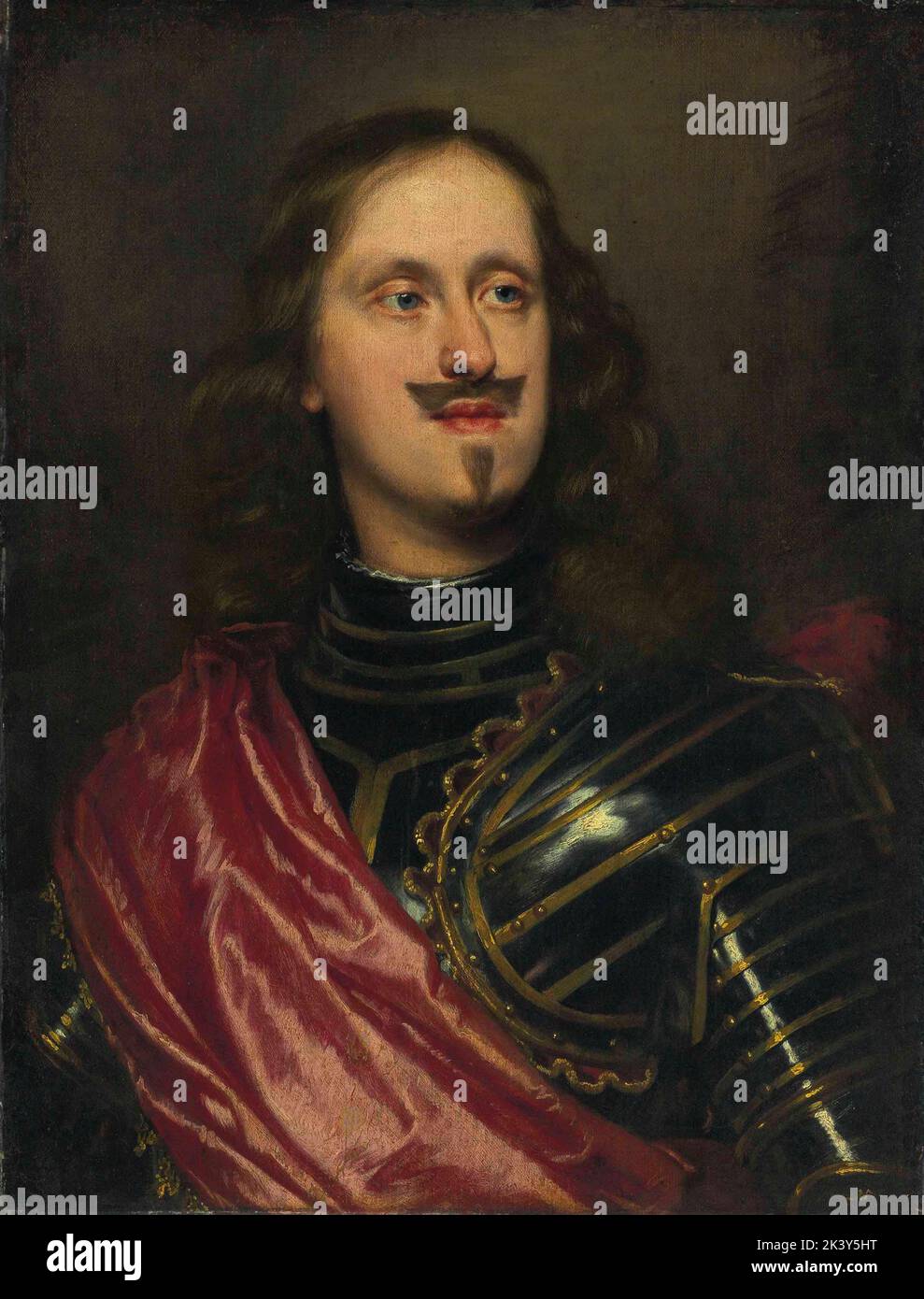 vintage, retro, old, photograph, century, botany, graphics, antique ...