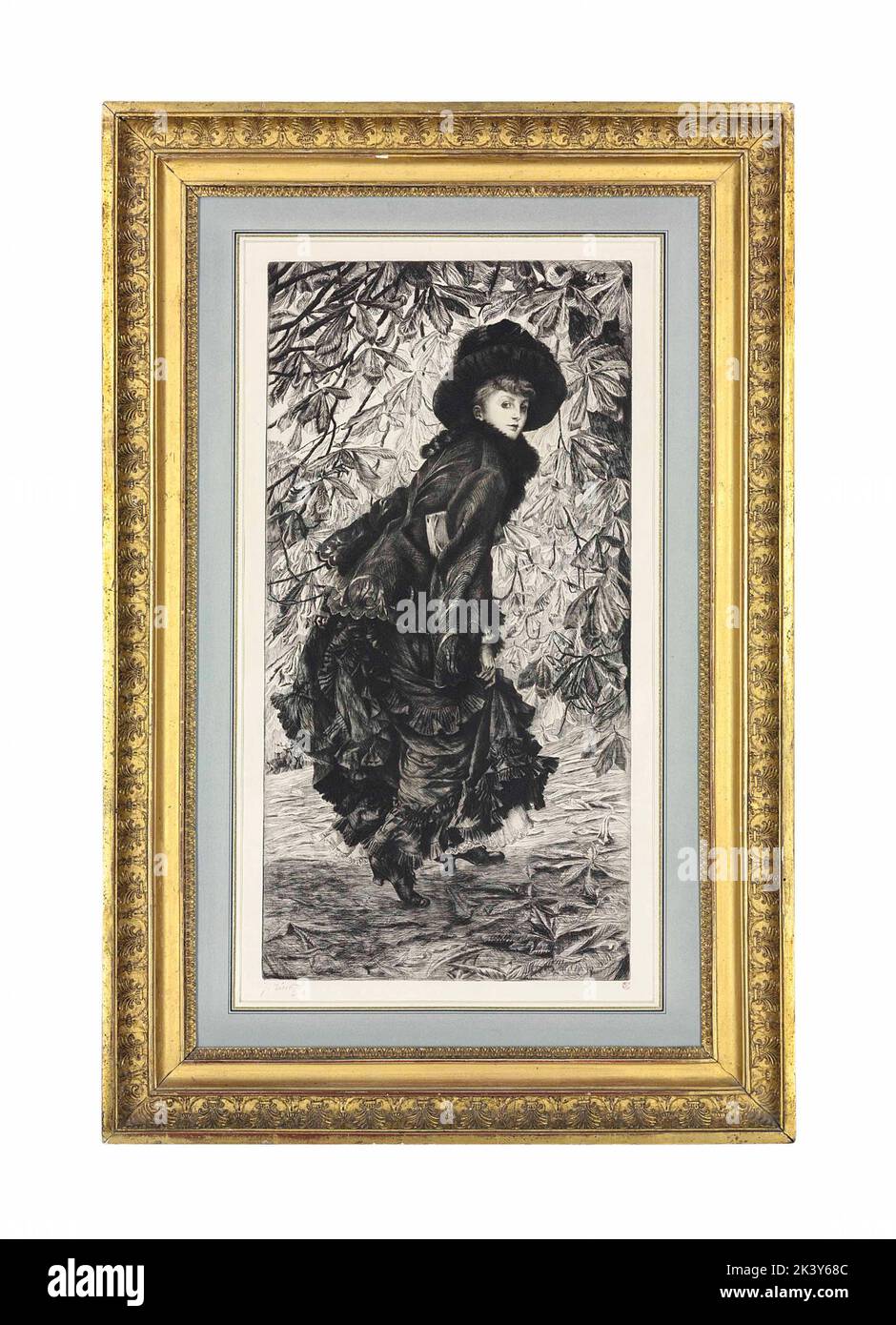 vintage, retro, old, photograph, century, botany, graphics, antique ...