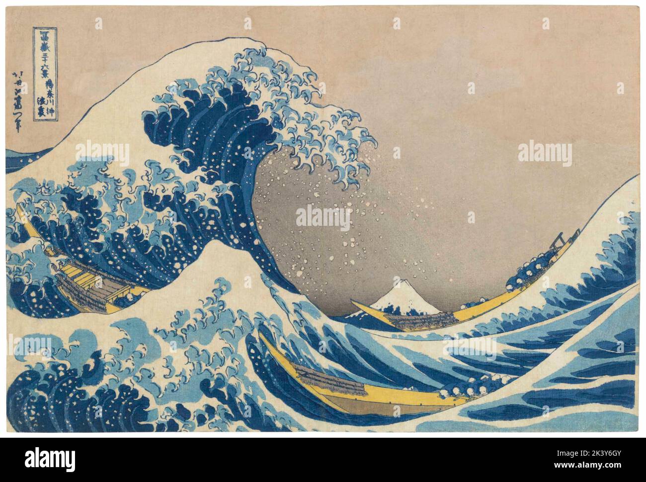 vintage, retro, old, photograph, century, botany, graphics, antique ...