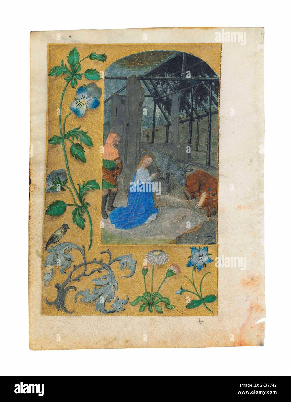 vintage, retro, old, photograph, century, botany, graphics, antique ...