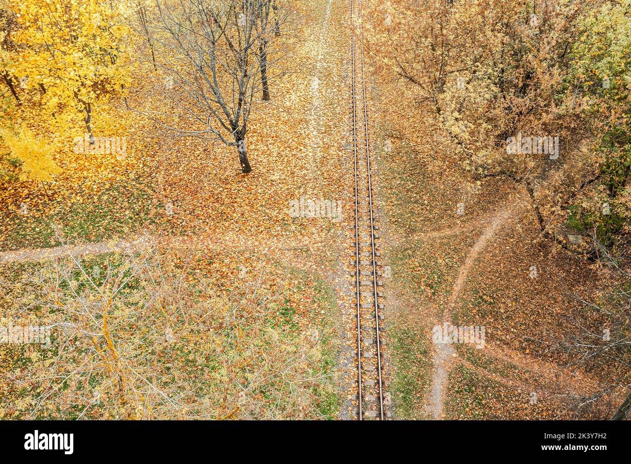 autumn landscape with railway track between colorful trees. aerial view ...