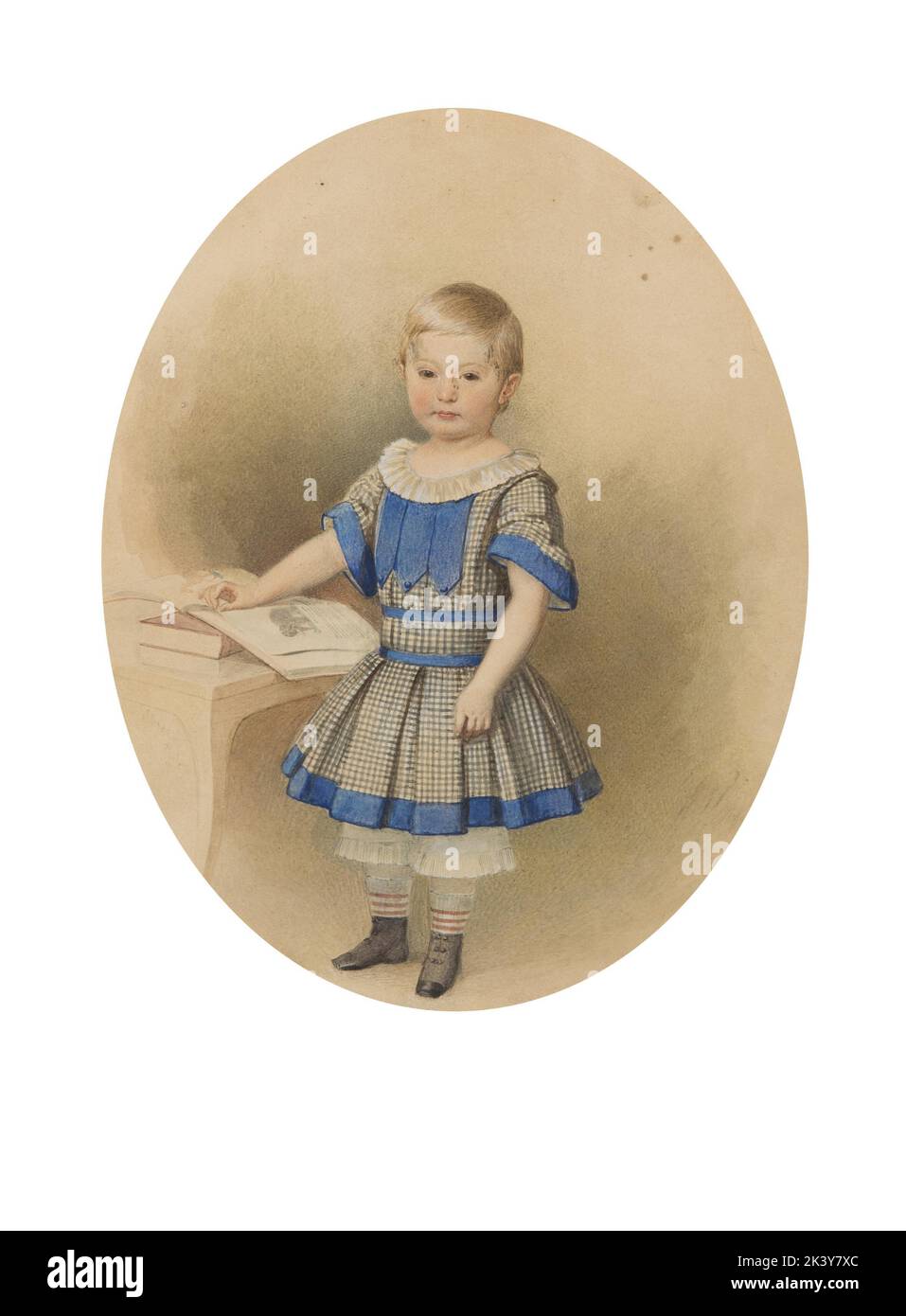 vintage, retro, old, photograph, century, botany, graphics, antique ...