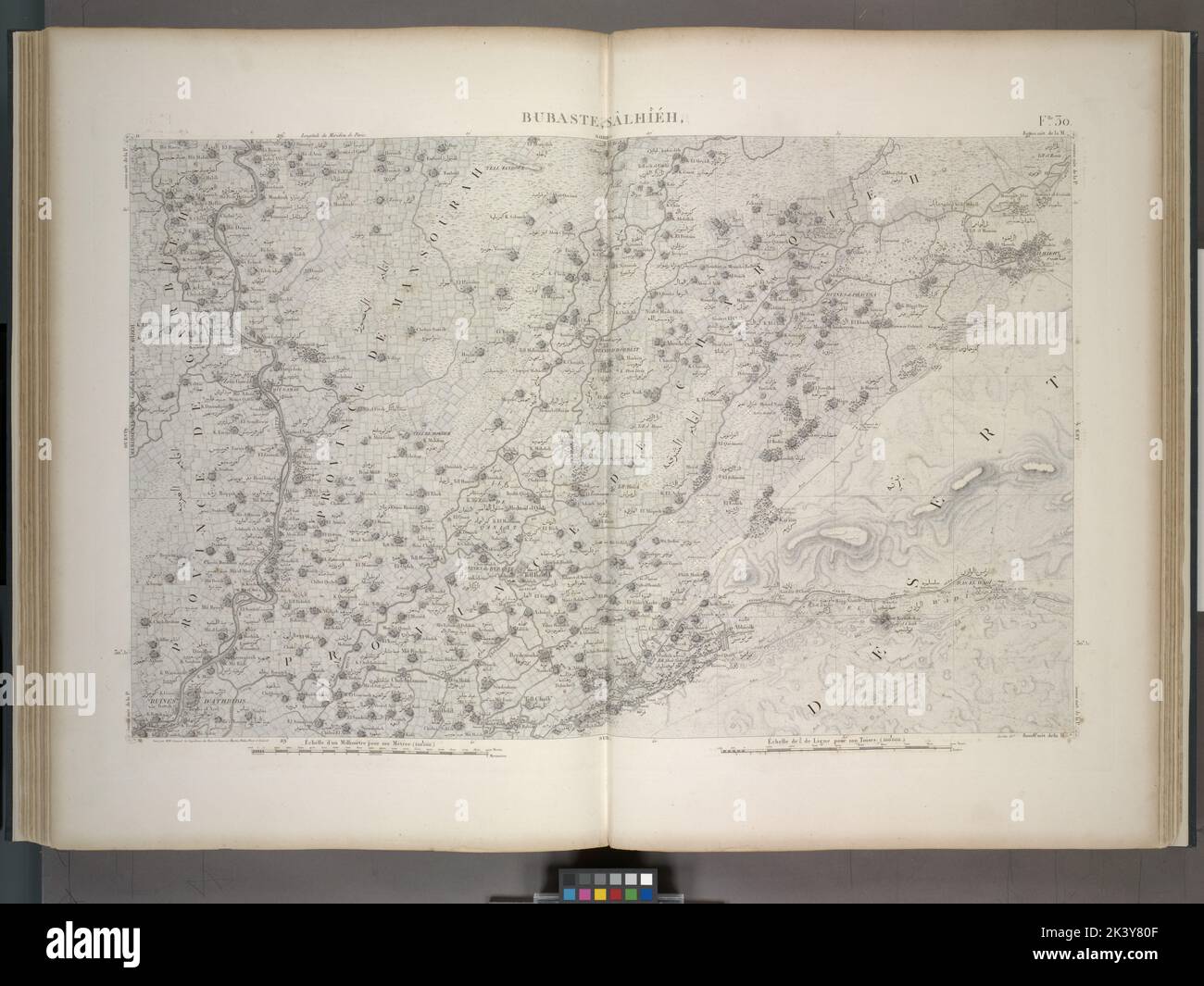 Bubaste, Sâlhîéh. Egypte topogr. 30 Cartographic. Maps. 1828. Rare Book ...