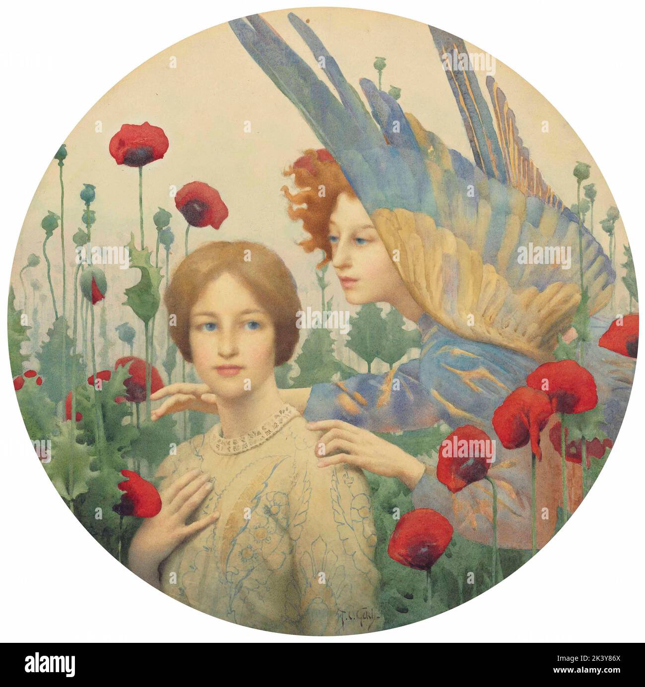 vintage, retro, old, photograph, century, botany, graphics, antique ...