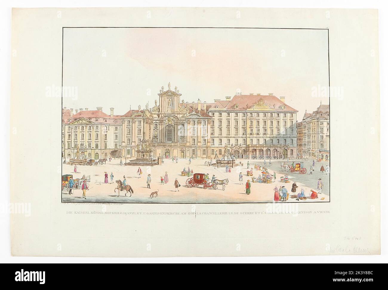 vintage, retro, old, photograph, century, botany, graphics, antique ...