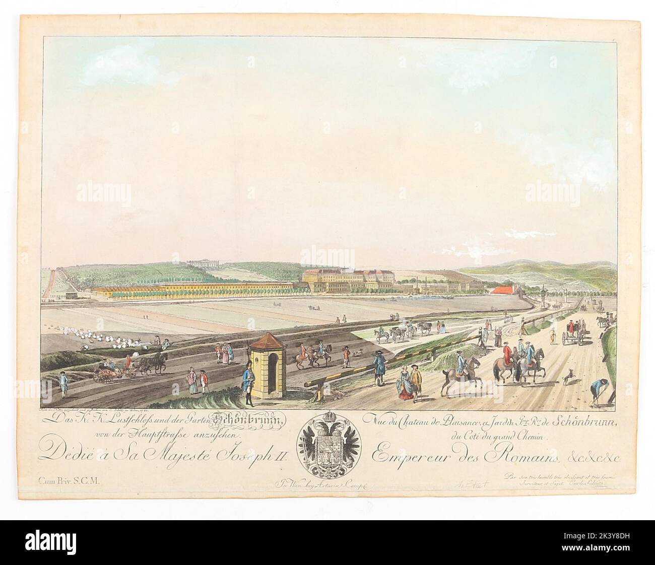 vintage, retro, old, photograph, century, botany, graphics, antique ...