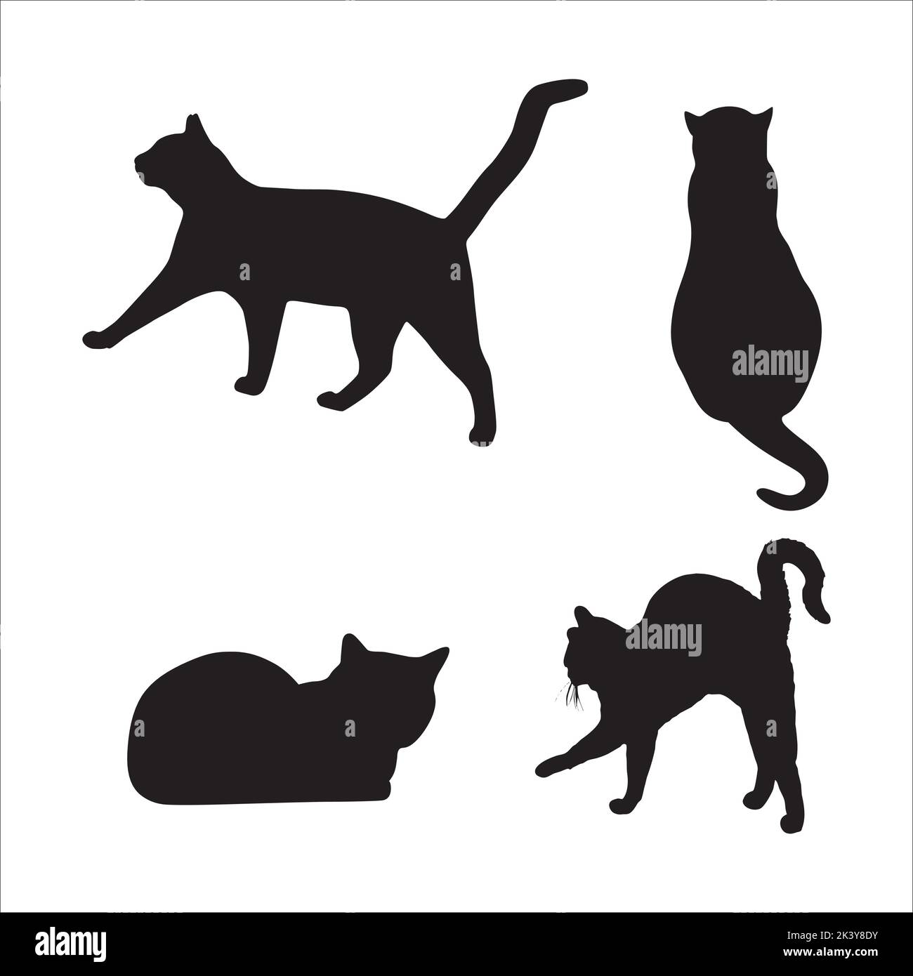 Vector Set Of Cats Silhouettes Illustration Isolated On White ...