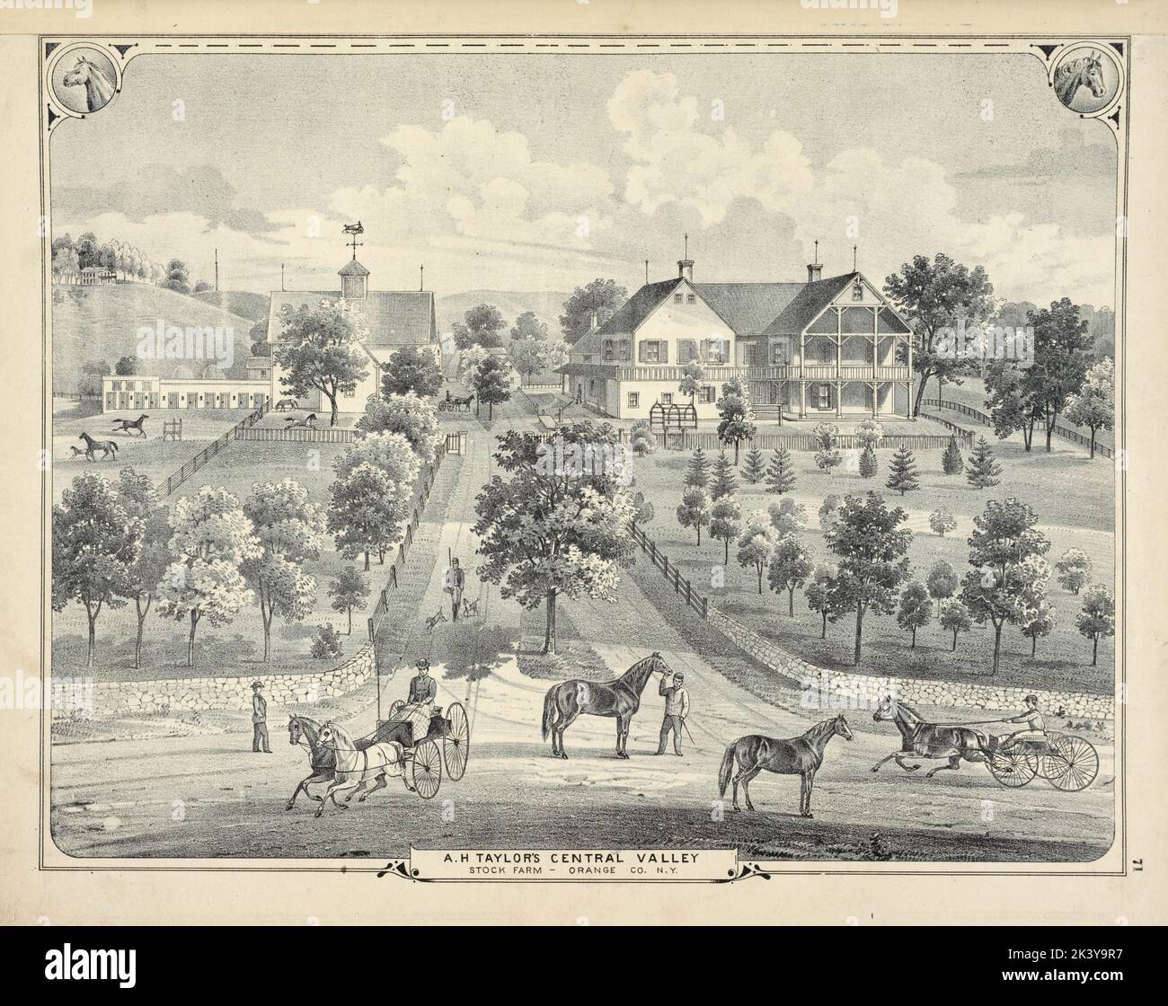 A. H. Taylor's Central Valley, Stock Farm - Orange Co. N.Y ...