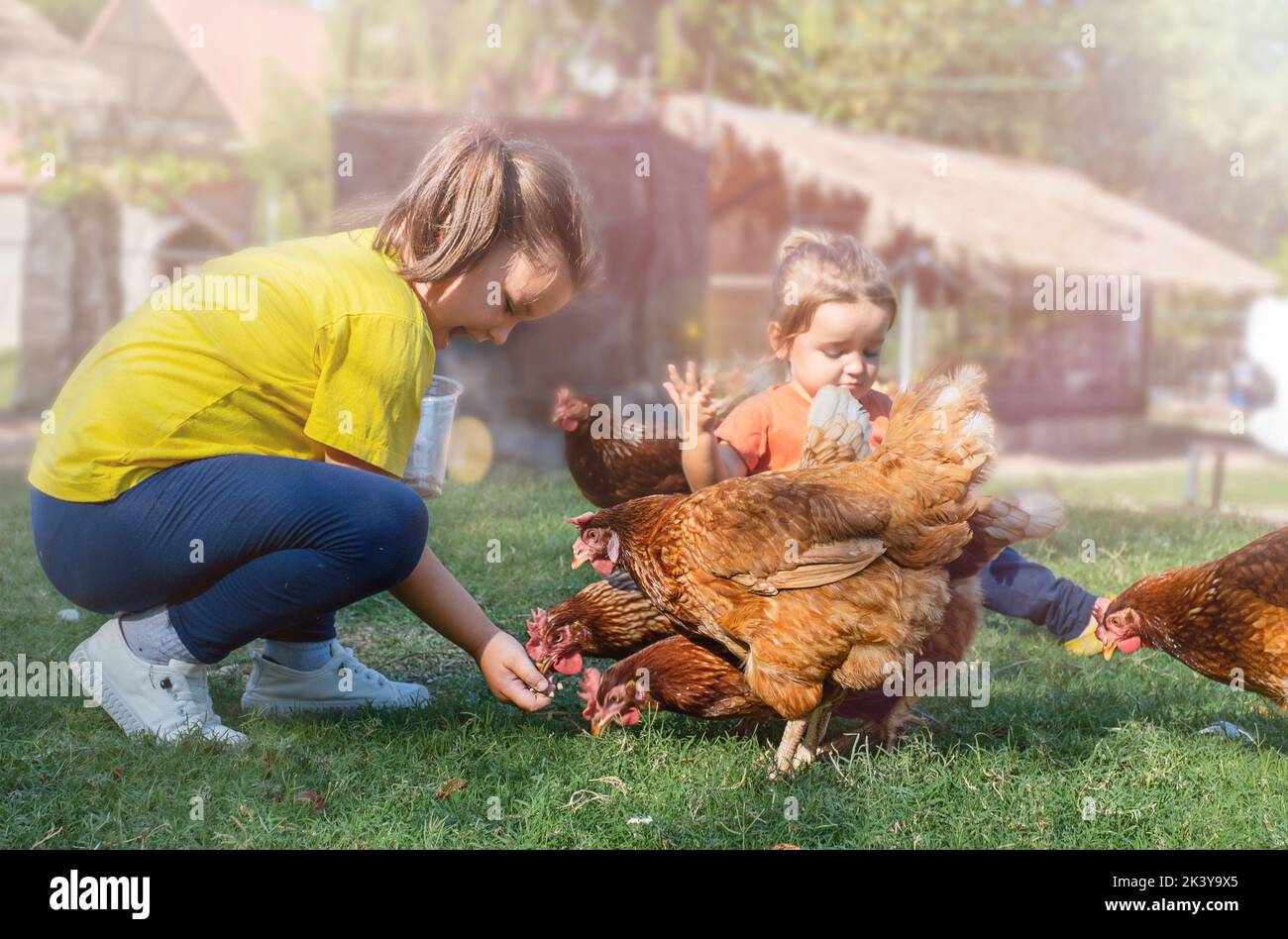 Children with chickens hi-res stock photography and images - Alamy