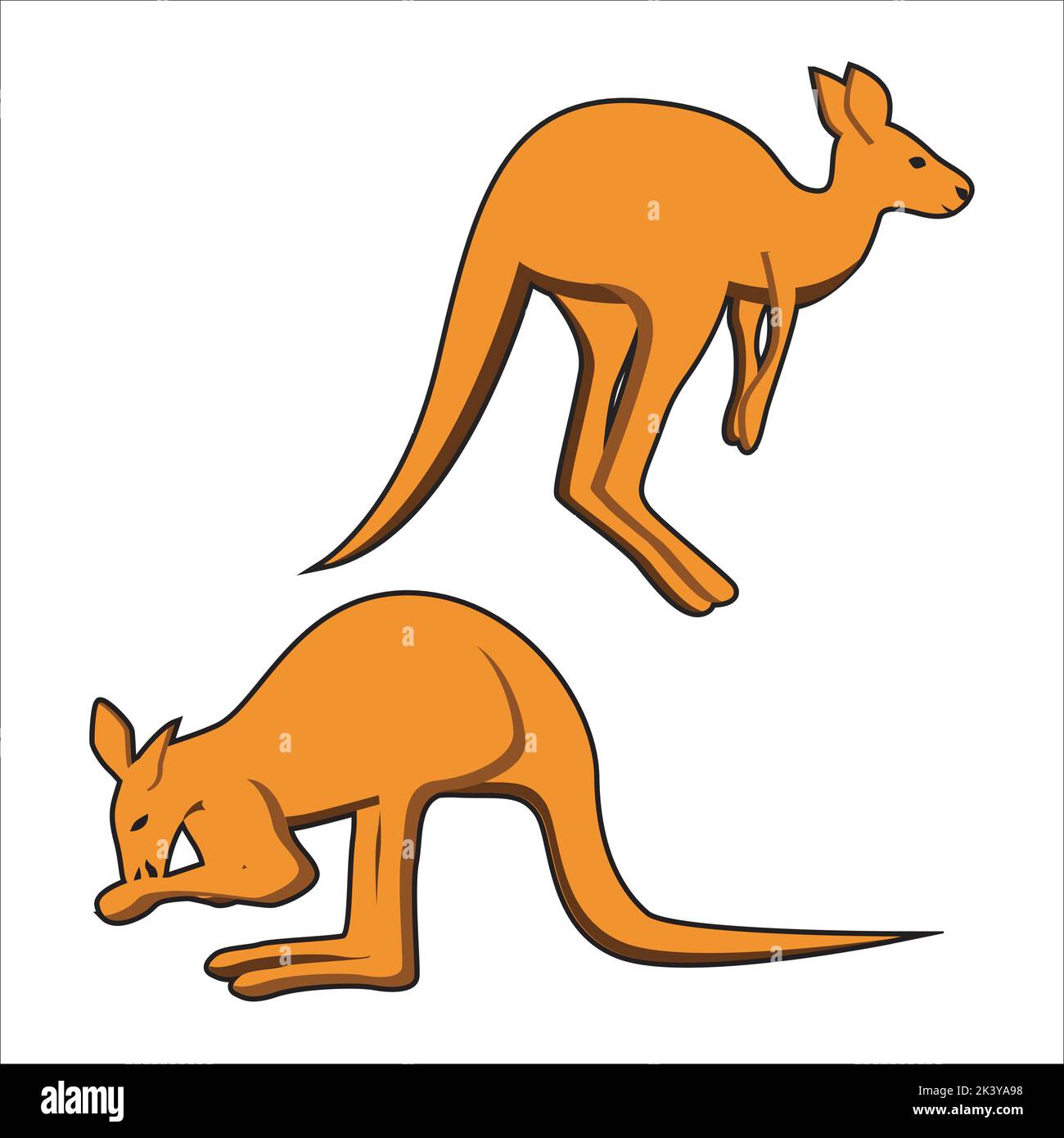 Vector Set Of Kangaroo Illustration Isolated On White Background Stock ...