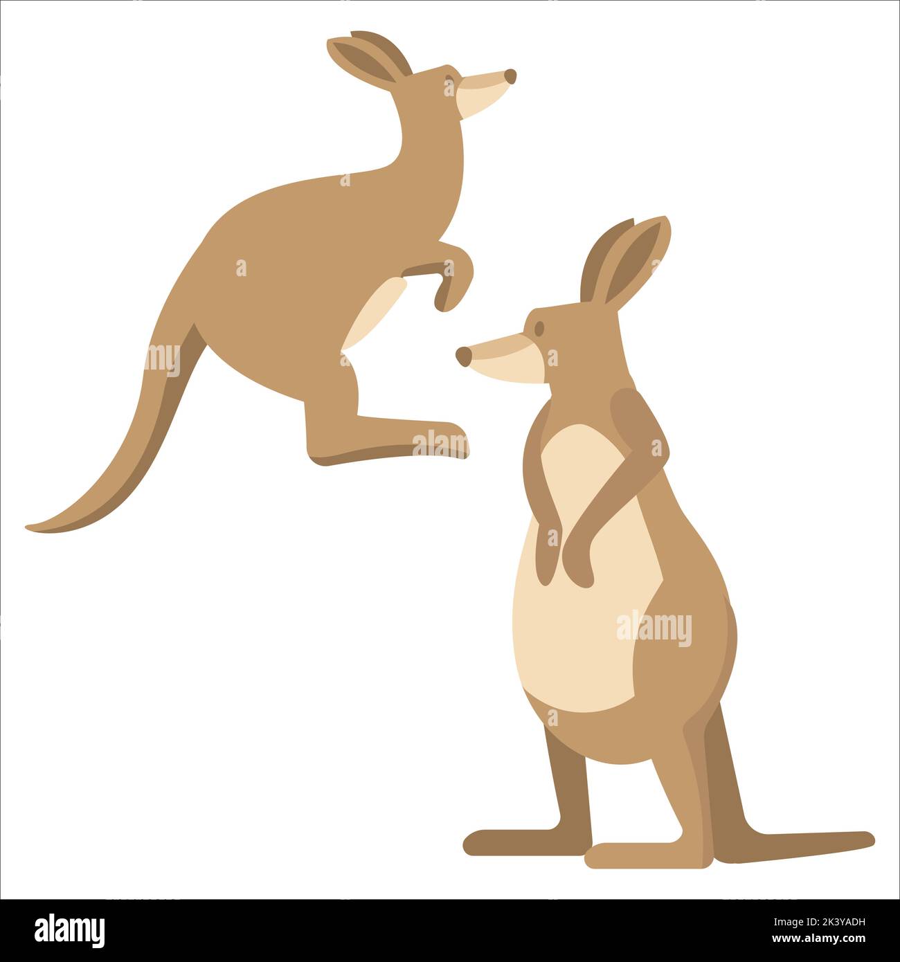 Vector Set Of Kangaroo Illustration Isolated On White Background Stock Vector Image & Art - Alamy