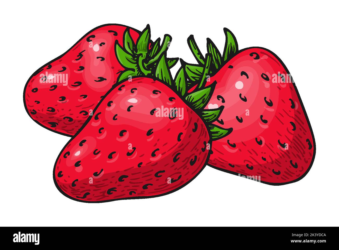 Strawberry handdrawn clip art. Three whole ripe wild forest red berries ...