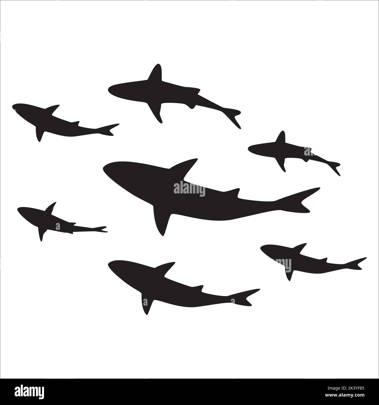 Vector Set Of Sharks Silhouettes Illustration Isolated On White ...