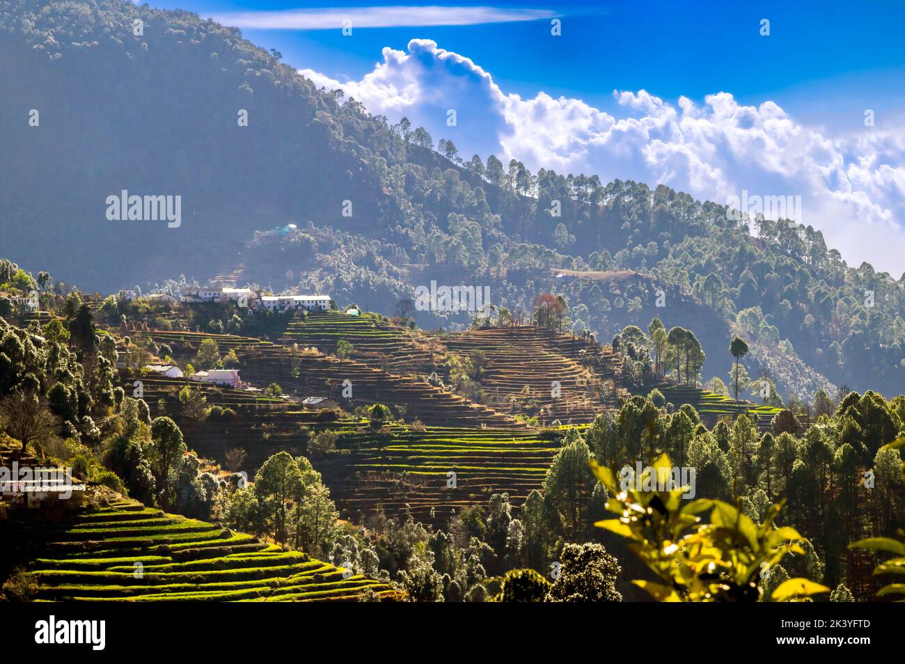 House in the mountains. Scenic village in Kumaon region of Himalayan ...