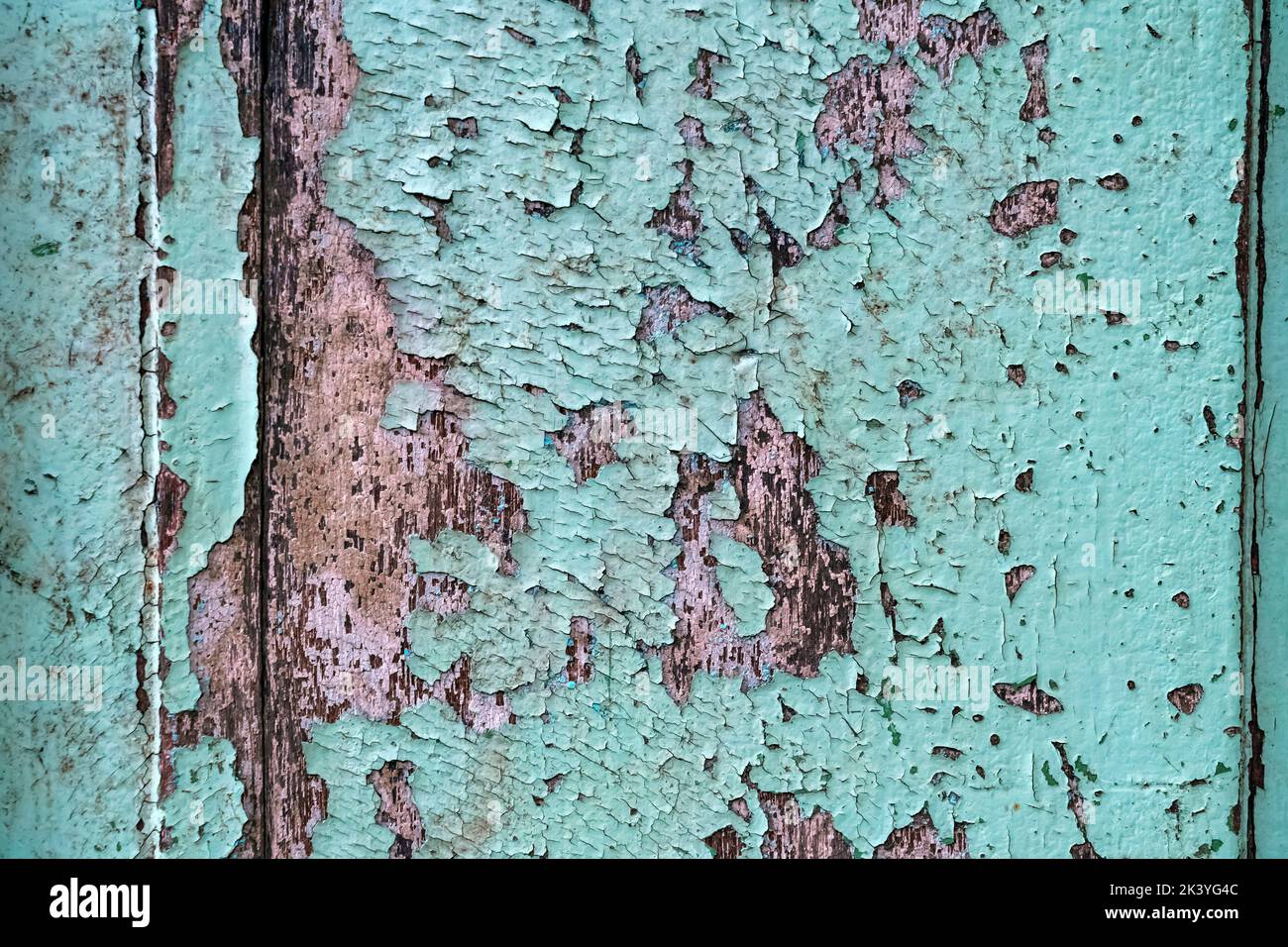 Colorful craquelure of the delaminated paint on wooden door background ...